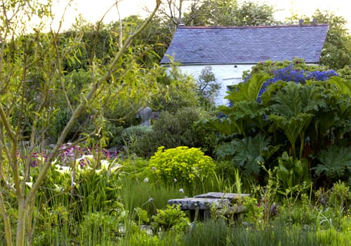 Cottage Gallery - Dyffryn Fernant